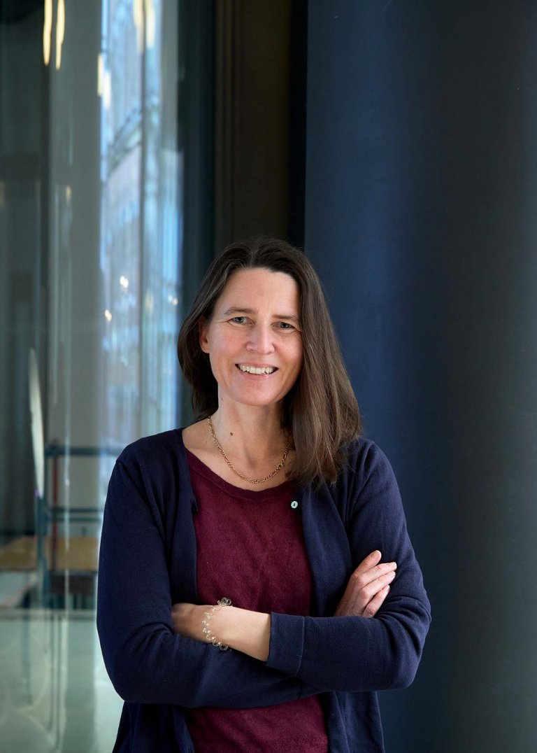 Home - THE NEW INSTITUTE