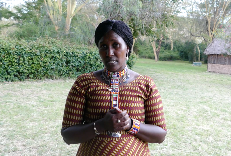 Confronting Climate Leviathan THE NEW INSTITUTE - THE NEW INSTITUTE