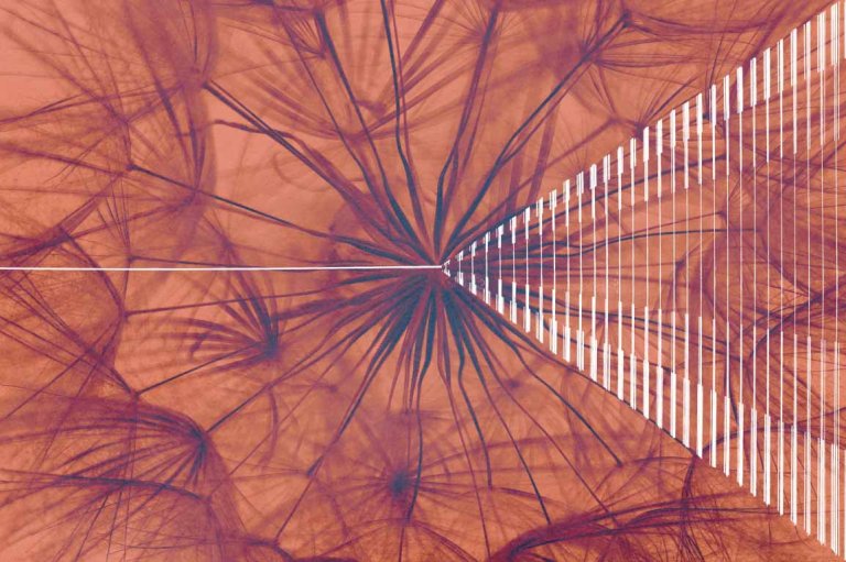 Home - THE NEW INSTITUTE